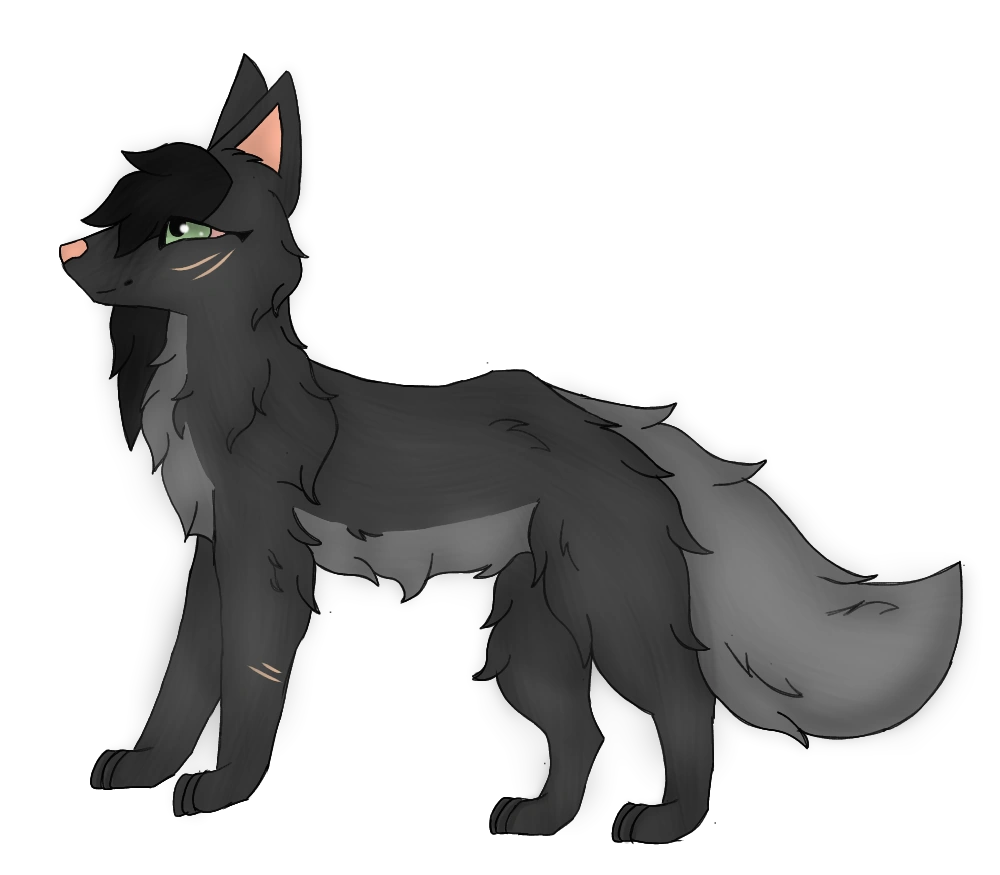 Holly Ash | Wataha Wilków Wiki | Fandom