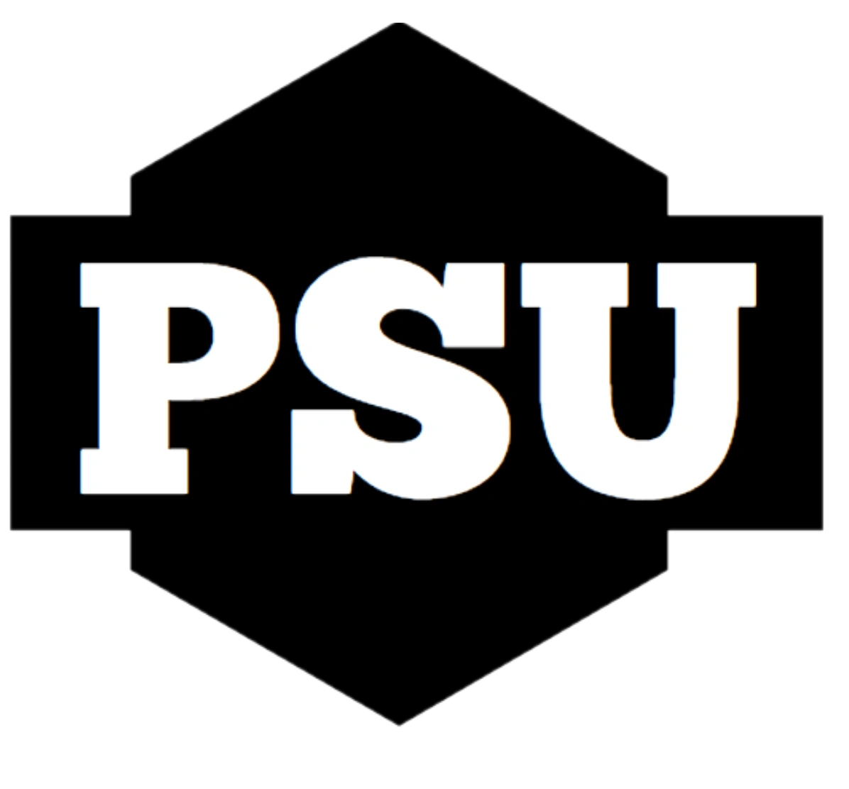 Public State Unit | Watch Dogs Fanon Wikia | Fandom