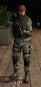 Umeni-Zulu | Watch Dogs Wiki | Fandom