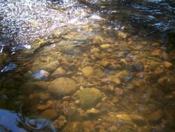 Stream | WaterWiki | Fandom