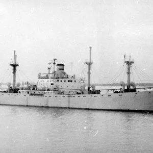 SS Amelia Earhart | Boats, Ships, and Watercraft Wiki | Fandom