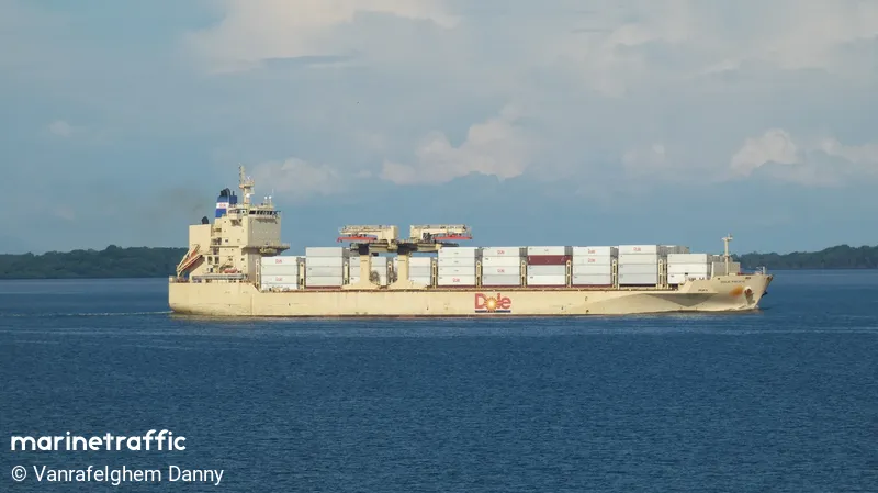 MV Dole Pacific | Boats, Ships, and Watercraft Wiki | Fandom