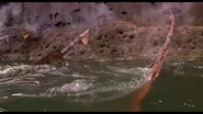The Deez | Water's End Wiki | Fandom