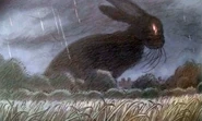 Black Rabbit of Inlé | Watership Down Wiki | Fandom