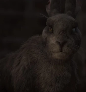 General Woundwort | Watership Down Wiki | Fandom