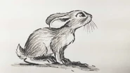 Pipkin | Watership Down Wiki | Fandom