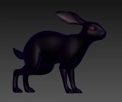 Black Rabbit Of Inle