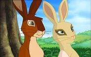 Hazel | Watership Down Wiki | Fandom