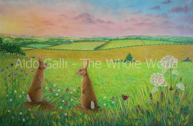 Chief's Quarters | Watership Down Wiki | Fandom