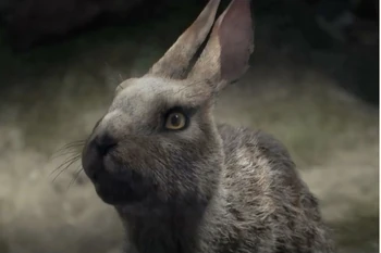 Captain Campion | Watership Down Wiki | Fandom