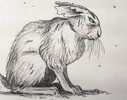 General Woundwort | Watership Down Wiki | Fandom