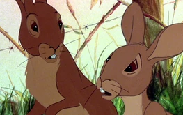 Hazel and Fiver | Watership Down Wiki | Fandom