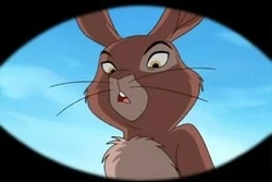 Pipkin | Watership Down Wiki | Fandom