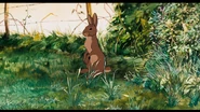 Hazel | Watership Down Wiki | Fandom