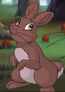 Pipkin/Image Gallery | Watership Down Wiki | Fandom