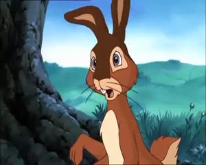 Fiver | Watership Down Wiki | Fandom