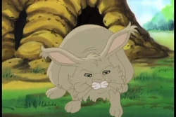 Cowslip | Watership Down Wiki | Fandom