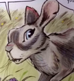 Watership Down: The Graphic Novel | Watership Down Wiki | Fandom