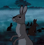 Captain Holly | Watership Down Wiki | Fandom