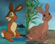 Fiver | Watership Down Wiki | Fandom