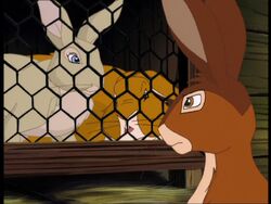Clover | Watership Down Wiki | Fandom