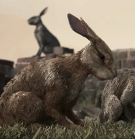 Hyzenthlay | Watership Down Wiki | Fandom