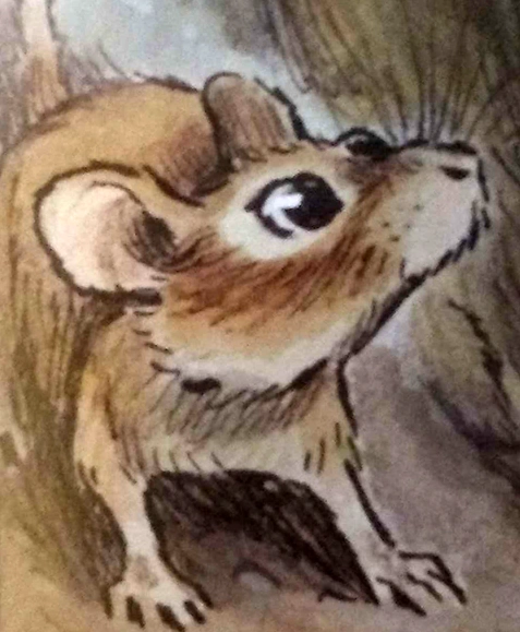 Unnamed Mouse | Watership Down Wiki | Fandom
