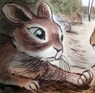 Pipkin/Image Gallery | Watership Down Wiki | Fandom