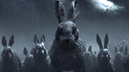 General Woundwort | Watership Down Wiki | Fandom