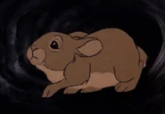 Pipkin | Watership Down Wiki | Fandom