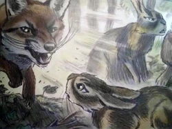 Fox | Watership Down Wiki | Fandom