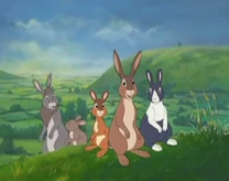 Watership Down (TV series) | Watership Down Wiki | Fandom