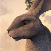 Hawkbit | Watership Down Wiki | Fandom