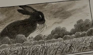 Black Rabbit of Inlé | Watership Down Wiki | Fandom