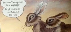 Watership Down: The Graphic Novel | Watership Down Wiki | Fandom