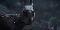 Hyzenthlay | Watership Down Wiki | Fandom