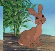 Fiver | Watership Down Wiki | Fandom