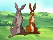 Hazel/Image Gallery | Watership Down Wiki | Fandom