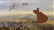 Black Rabbit of Inlé | Watership Down Wiki | Fandom