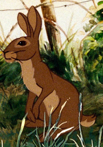Hazel | Watership Down Wiki | Fandom