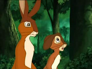 Hazel | Watership Down Wiki | Fandom