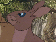 Captain Campion | Watership Down Wiki | Fandom