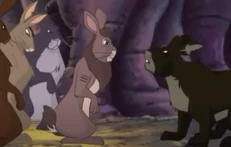 Bigwig/Image Gallery | Watership Down Wiki | Fandom