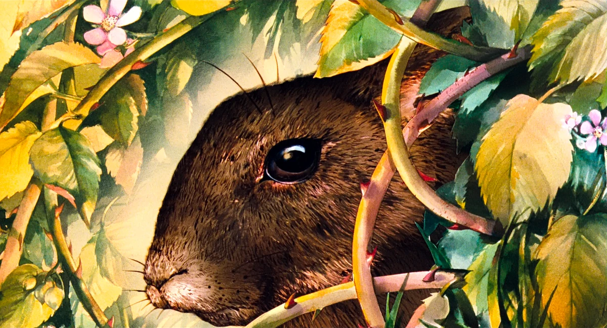 Hazel/Image Gallery | Watership Down Wiki | Fandom