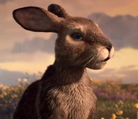 Hazel | Watership Down Wiki | Fandom