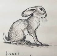 Hazel | Watership Down Wiki | Fandom