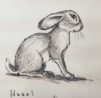Hazel | Watership Down Wiki | Fandom