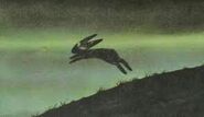 Black Rabbit of Inlé | Watership Down Wiki | Fandom