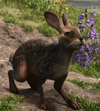 Hazel | Watership Down Wiki | Fandom