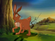 Fiver | Watership Down Wiki | Fandom